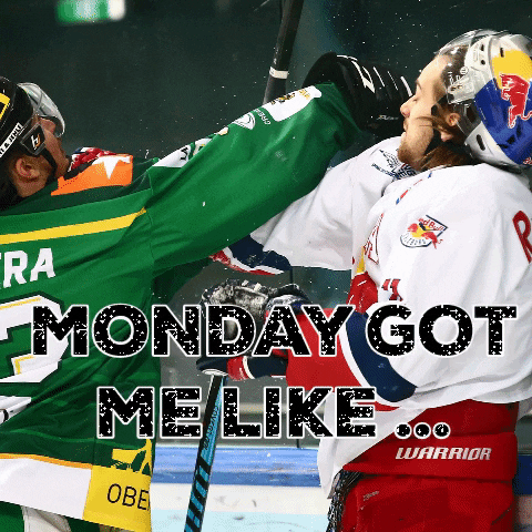 Monday Fighting GIF - Find & Share on GIPHY