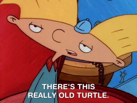 Old-turtle GIFs - Get the best GIF on GIPHY