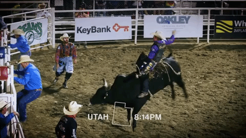 Second-rodeo GIFs - Get the best GIF on GIPHY