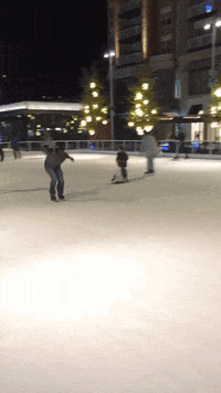 Funny Ice Skating Gif