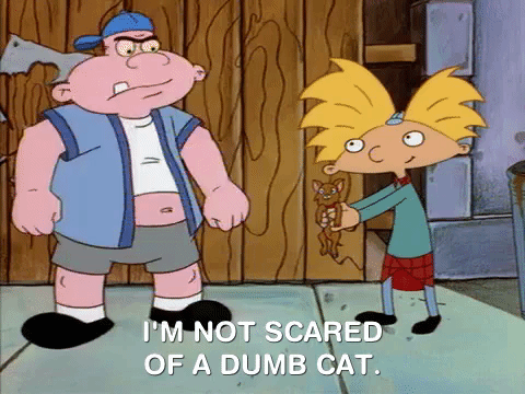 Stupid Cat Gif