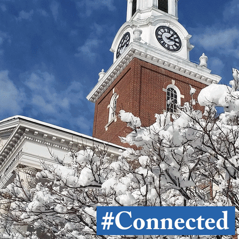 Southern-connecticut-state-university GIFs - Get the best GIF on GIPHY