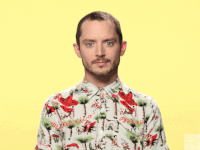 Elijah Wood Laughing Gif