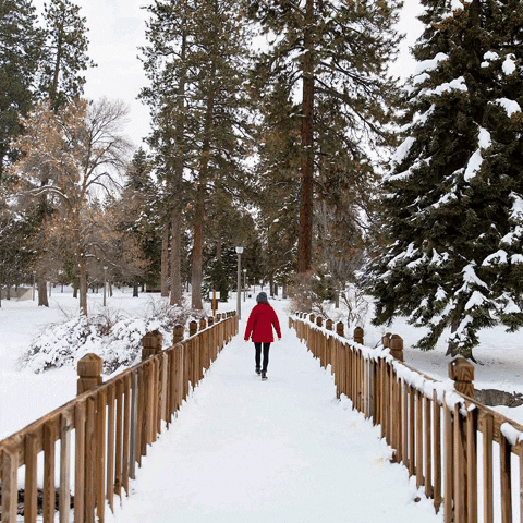 Sunriver-ice-rink GIFs - Get the best GIF on GIPHY