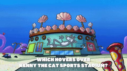 Cat-sport GIFs - Get the best GIF on GIPHY