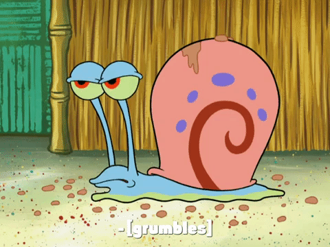 Season 8 Barnacle Face GIF by SpongeBob SquarePants - Find & Share on GIPHY