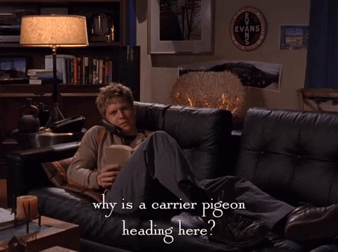 Carrier-pigeon GIFs - Get the best GIF on GIPHY