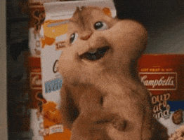 Chipmunk GIFs - Find & Share on GIPHY