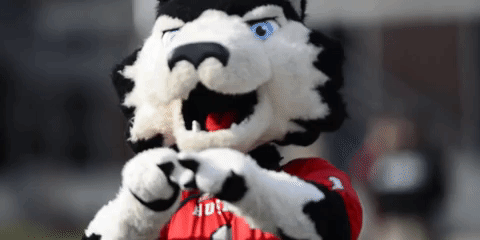 Mascots Huskies GIF by Northern Illinois University - Find & Share on GIPHY