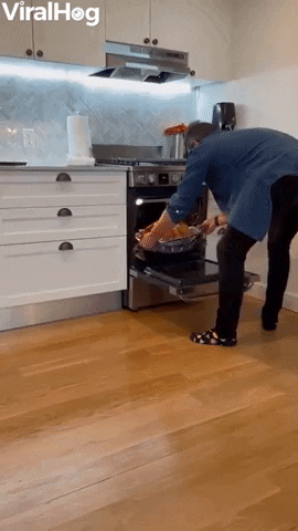 Turkey-on-fire GIFs - Get the best GIF on GIPHY