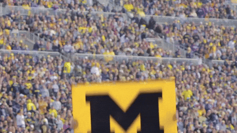 Umich-football GIFs - Get the best GIF on GIPHY
