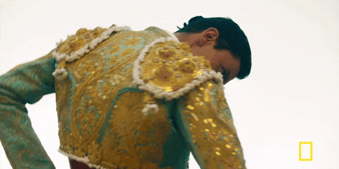 Bullfighting GIFs - Get the best GIF on GIPHY