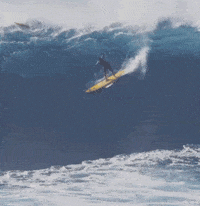 Surfing Animated Gif