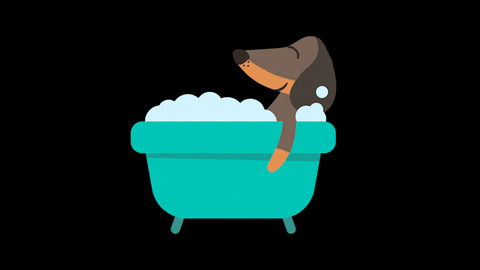 Bath Dog Gif