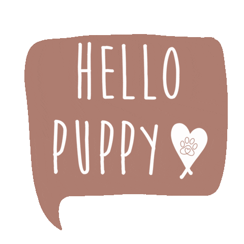 Dog Hello Sticker for iOS & Android | GIPHY