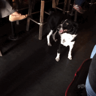 Fer Friser GIFs - Find & Share on GIPHY