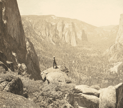 The Outdoors GIFs - Get the best GIF on GIPHY
