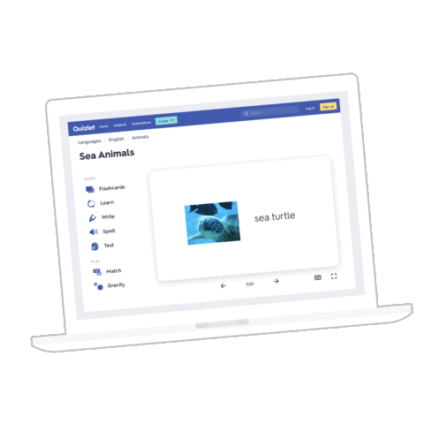 Quizlet GIFs on GIPHY - Be Animated