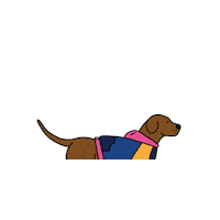 Dog Hoodies by BOIS THE LABEL | GIPHY