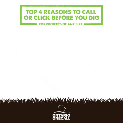 Project-reason GIFs - Get the best GIF on GIPHY