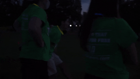 Highlight-stick GIFs - Get the best GIF on GIPHY