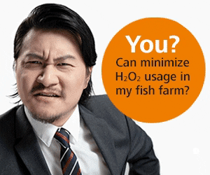 Fish-farming GIFs - Get the best GIF on GIPHY