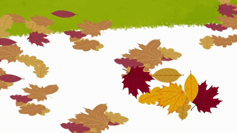 Fall Leaves Falling Gif