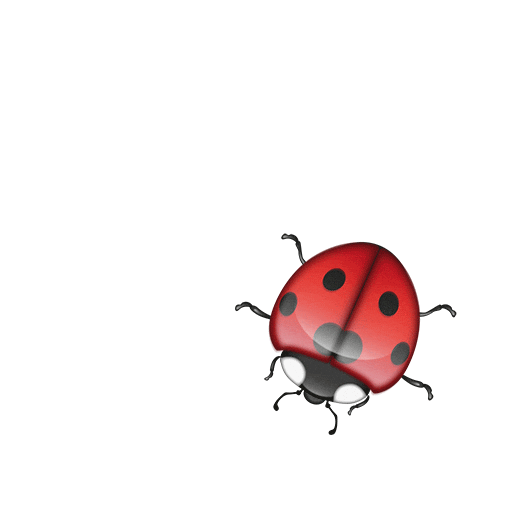 Ladybug Flying Gif