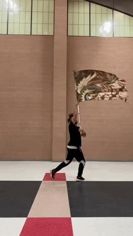 Shallow — Flag GIFs on GIPHY - Be Animated