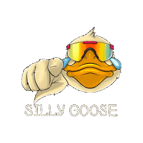 Silly Goose GIFs on GIPHY - Be Animated