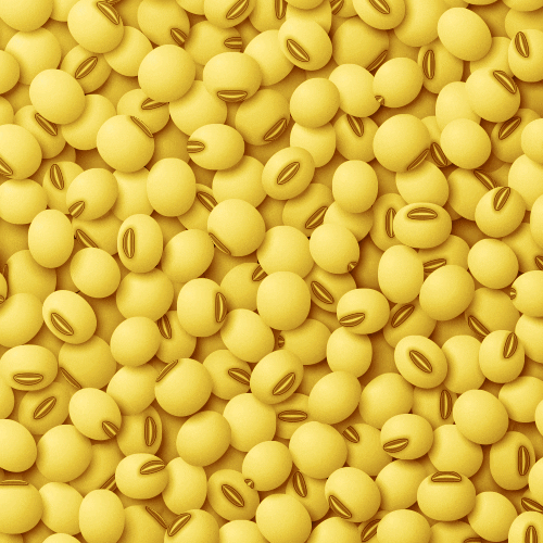 Variedade GIFs - Get the best GIF on GIPHY