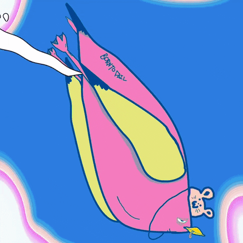Seagull-poo GIFs - Get the best GIF on GIPHY