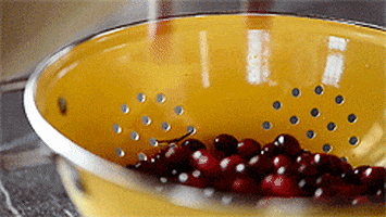 Tastegarden GIFs - Get the best GIF on GIPHY