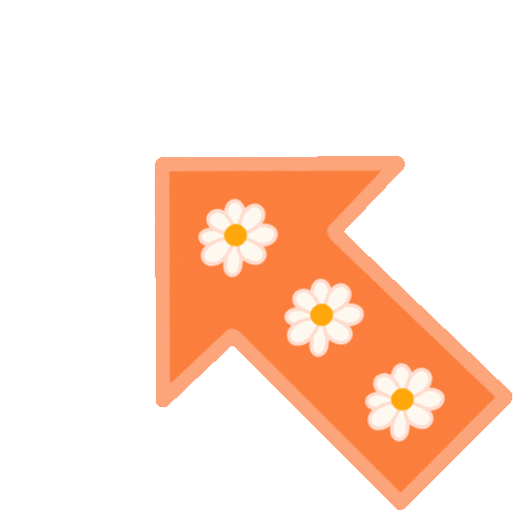 This rare rainforest tree is mass flowering in outback Queensland - ABC ...