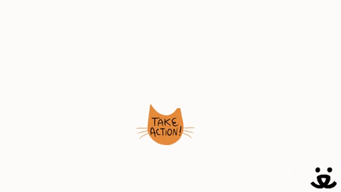 Community Cat Day by Best Friends Animal Society | GIPHY