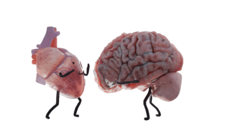 Heart&Brain GIFs on GIPHY - Be Animated
