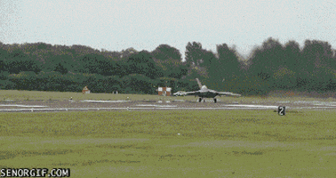 F22 GIFs - Get the best GIF on GIPHY