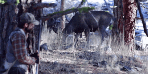 Whats New Outside GIFs - Get the best GIF on GIPHY