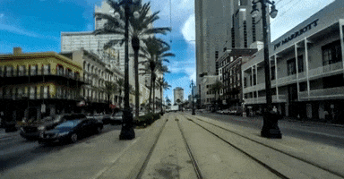 Tallulah Louisiana GIFs - Find & Share on GIPHY