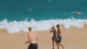 Drunk On The Beach GIFs - Get the best GIF on GIPHY