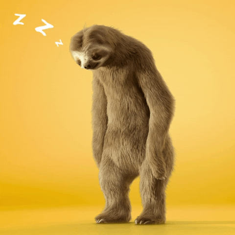 Sleepy-sloths GIFs - Get the best GIF on GIPHY