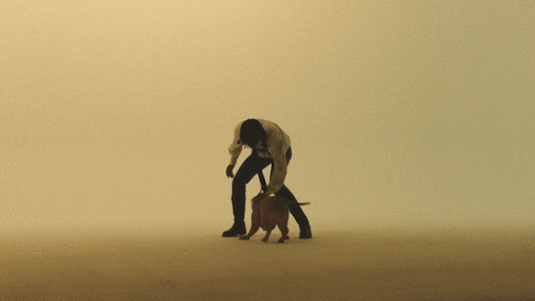 Bad Habit GIF by Steve Lacy - Find & Share on GIPHY