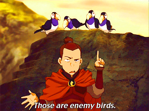 meddleing | Tag | PrimoGIF