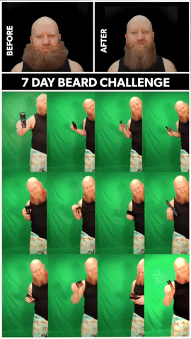 THE BEARD STRUGGLE GIFs on GIPHY - Be Animated
