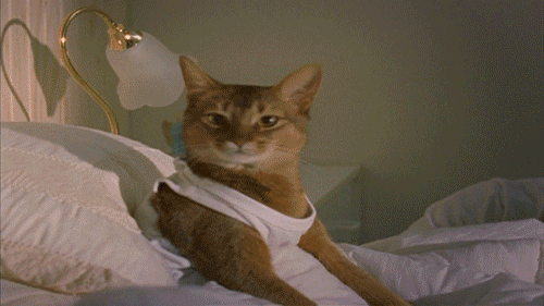 Medulla GIFs - Get the best GIF on GIPHY