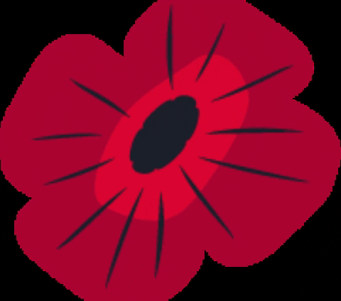 Lest We Forget Poppies GIF by Erstwilder - Find & Share on GIPHY