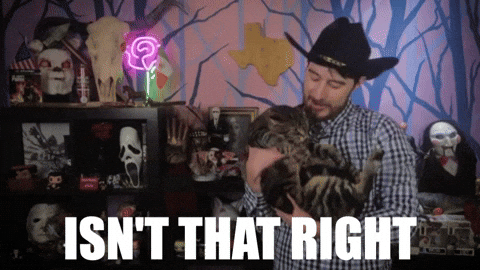 James-janisse-cats GIFs - Get the best GIF on GIPHY
