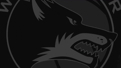 Rep-my-team GIFs - Get the best GIF on GIPHY