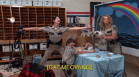Cat-calendar GIFs - Get the best GIF on GIPHY