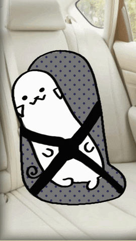 Baby Car GIFs - Get the best GIF on GIPHY